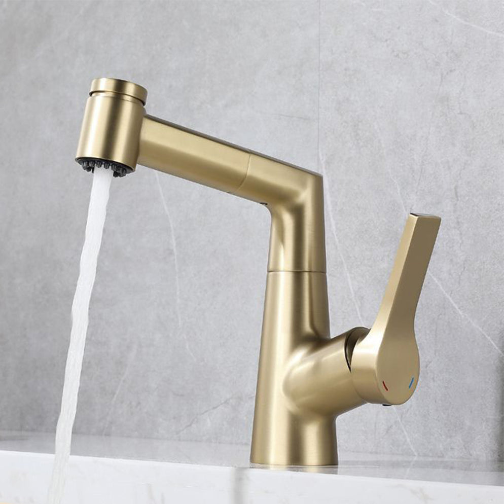 Goldenwarm Bathroom Faucet Single Hole Height Adjustable Pull Out ...