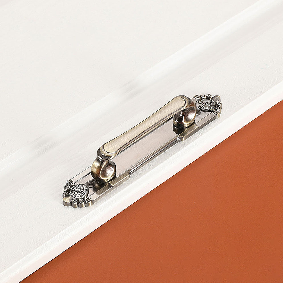 Vintage Metal Cabinet Door Pulls with Backplate | Goldenwarm